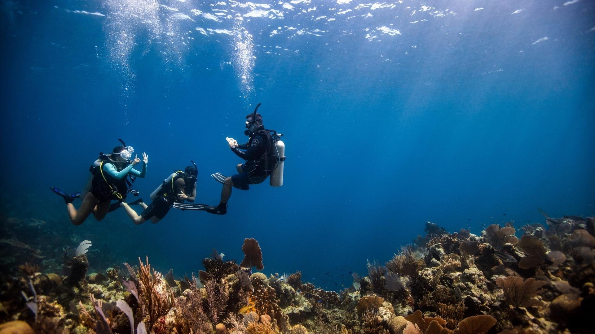 Discover Scuba Diving (Shore) - New Wave Divers