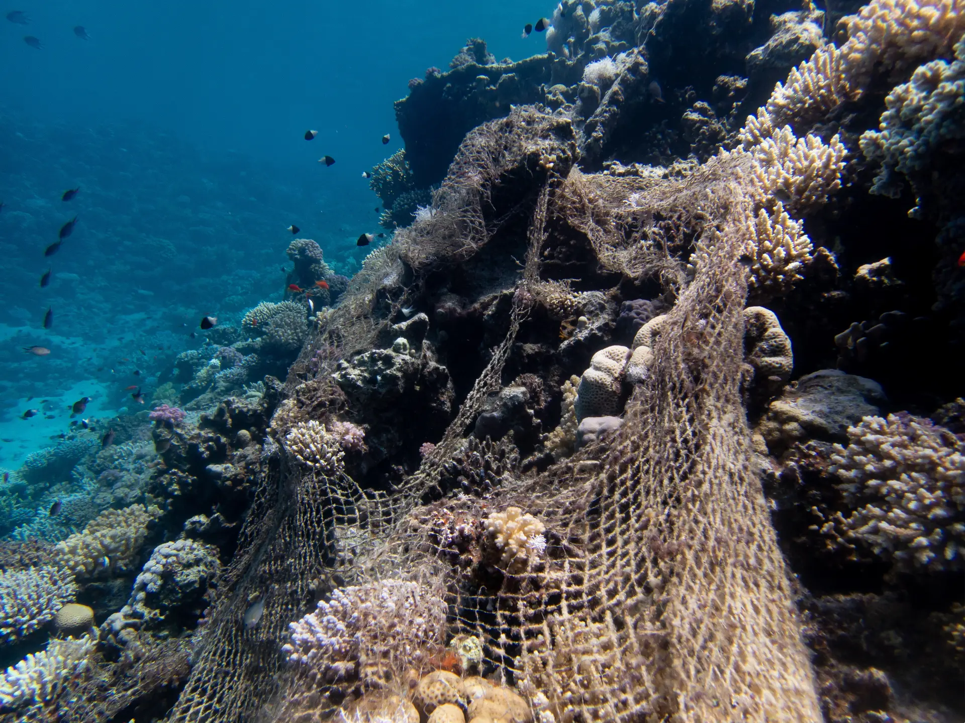 How Boracay Is Beating The Ghost Net Problem In The Philippines